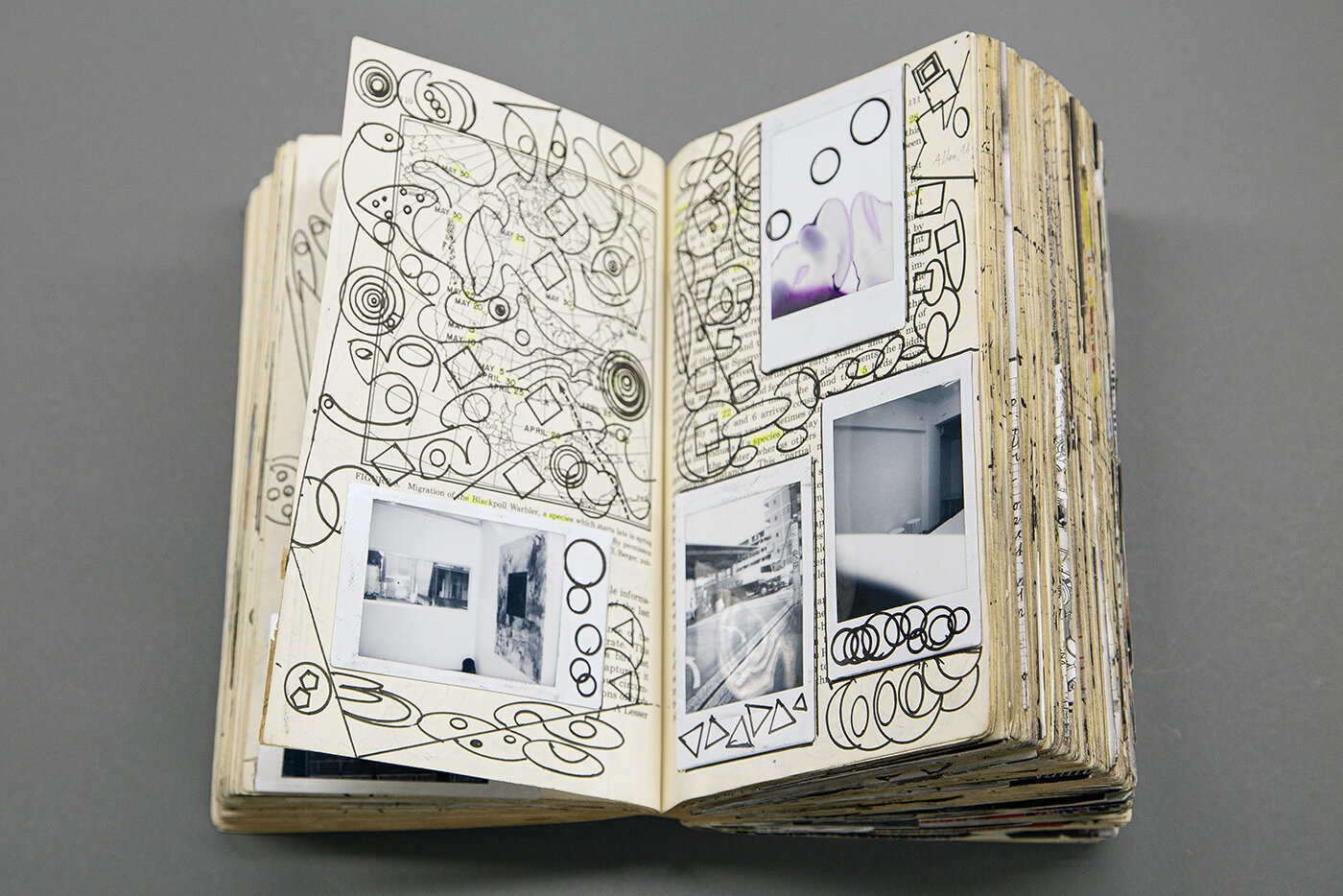 Art Book “Bird Study”