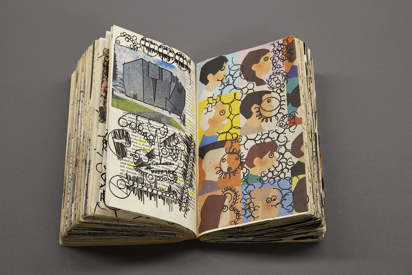 Art Book “Bird Study”