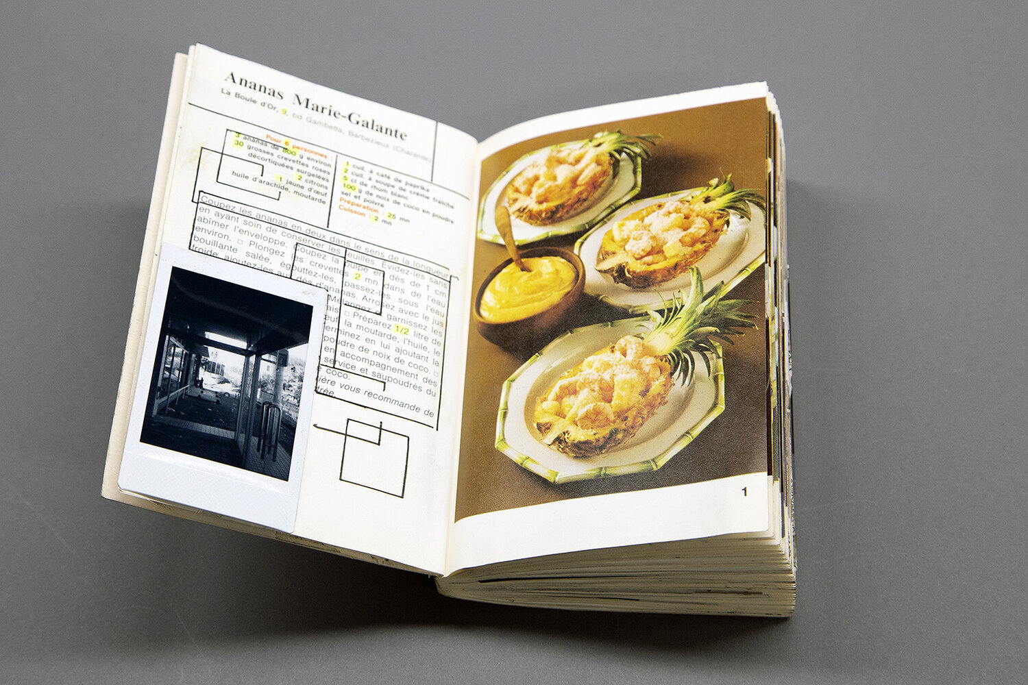 Art Book “Cooking”